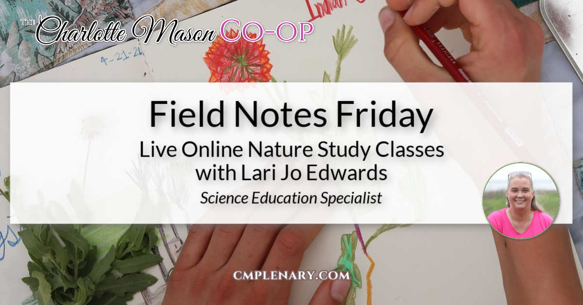 Field Notes Friday Nature Study: Birds & Bugs • A Charlotte Mason Plenary