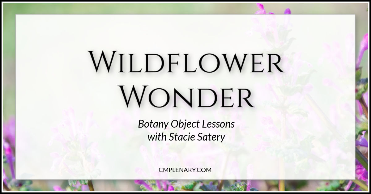 Wildflower Wonder: Object Lessons Online Class • A Charlotte Mason Plenary